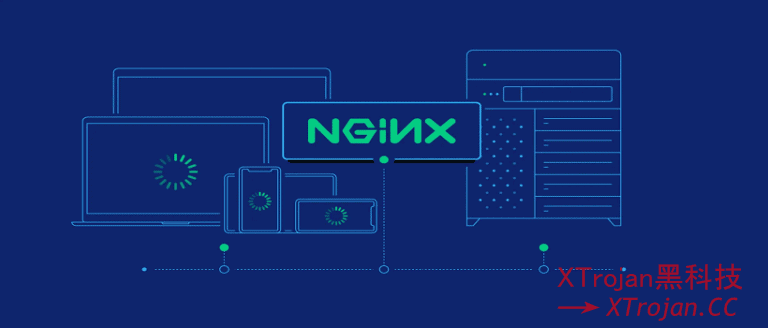 Nginx SNI分流（端口复用）使用 Xray+VLESS+XTLS - XTrojan黑科技