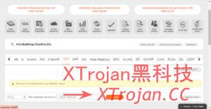 申请ClouDNS免费域名图文教程 - XTrojan黑科技